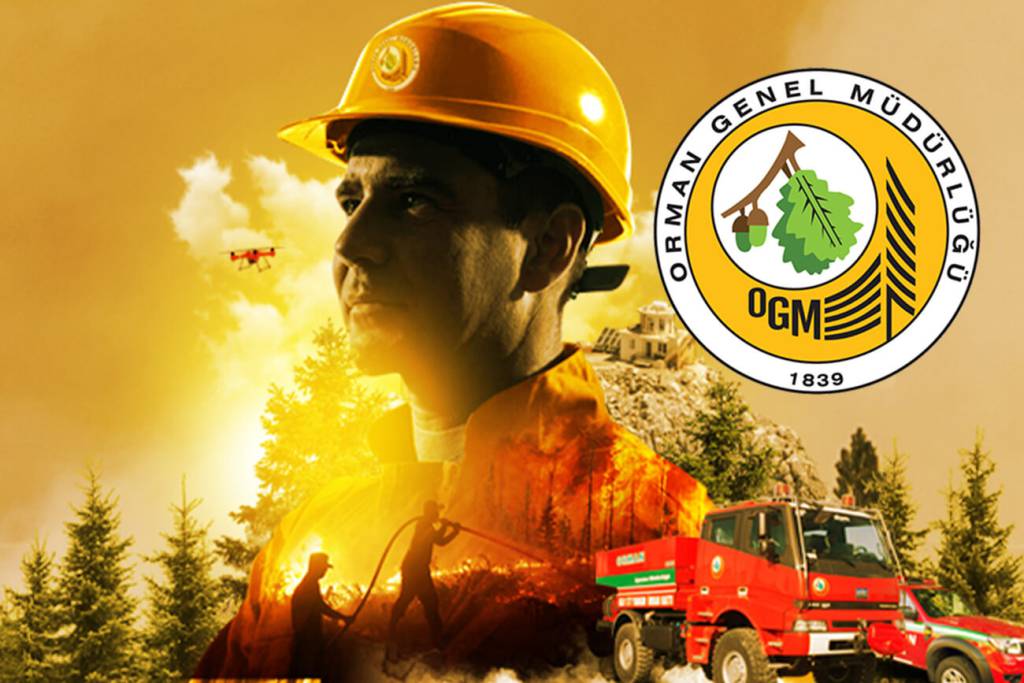 OGM Bilişim Network Projesi – Probim Teknoloji